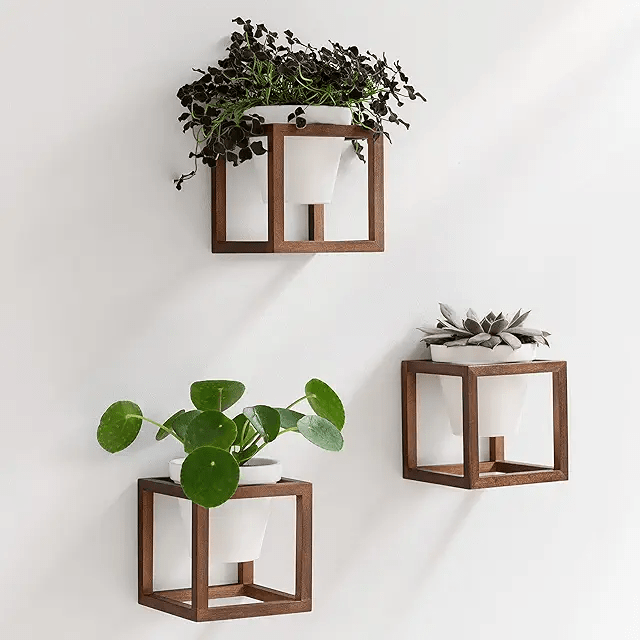 The Ultimate Guide to Succulent Plant Pots – The Peak Dream