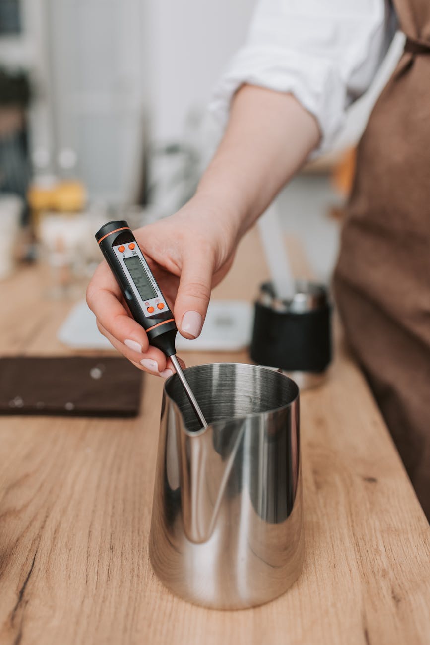 5 Best Food Thermometers for Home Cooking – The Peak Dream