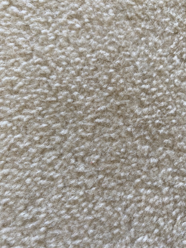 Review: Rug Doctor Heavy Stain – Pre Treatment Spray – The Peak Dream